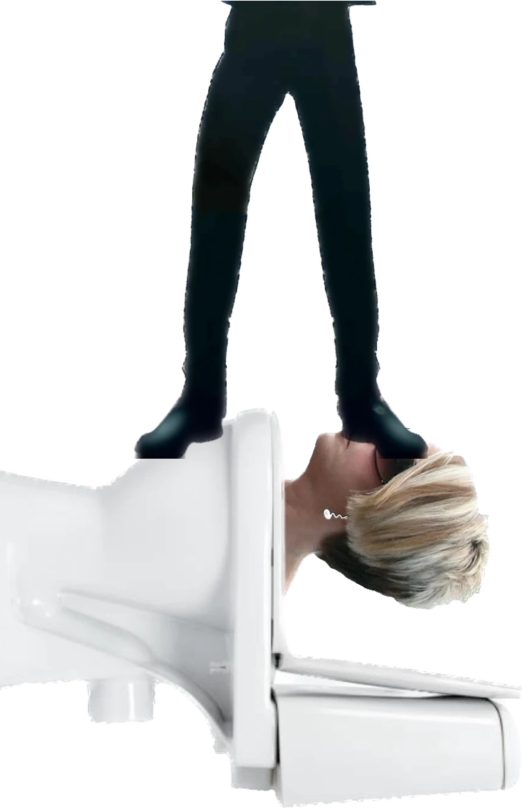Discuss Everything About Skibidi Toilet Wiki | Fandom
