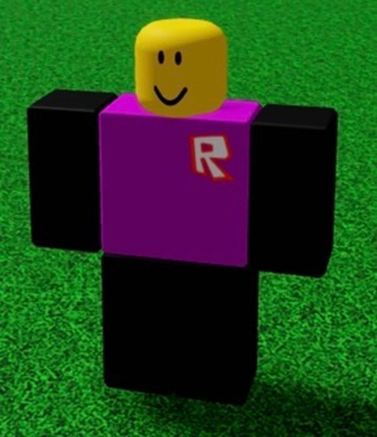 Care to explain what happened to my Blockhead, Roblox? | Fandom