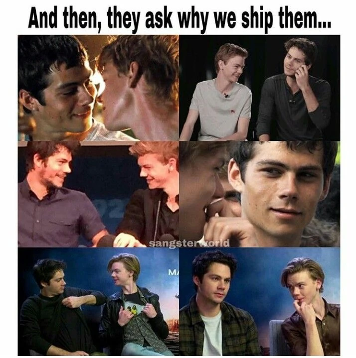 Newtmas | Fandom