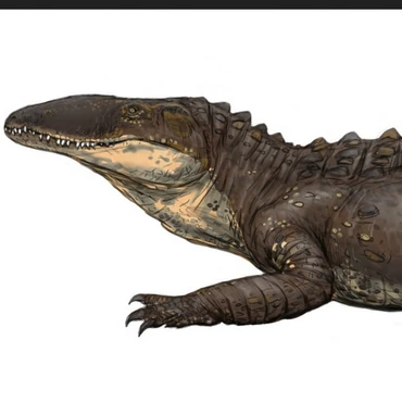 Discuss Everything About Dinopedia | Fandom