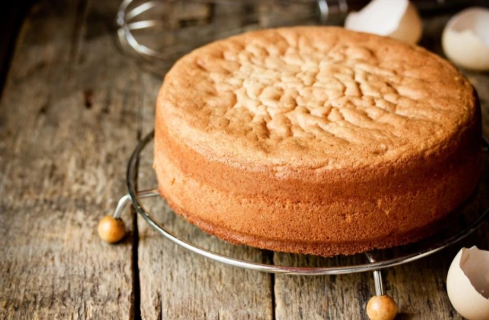 Cake. | Fandom