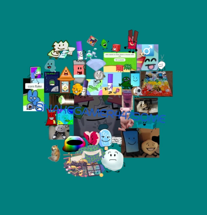 My New BFB (PFP) | Fandom