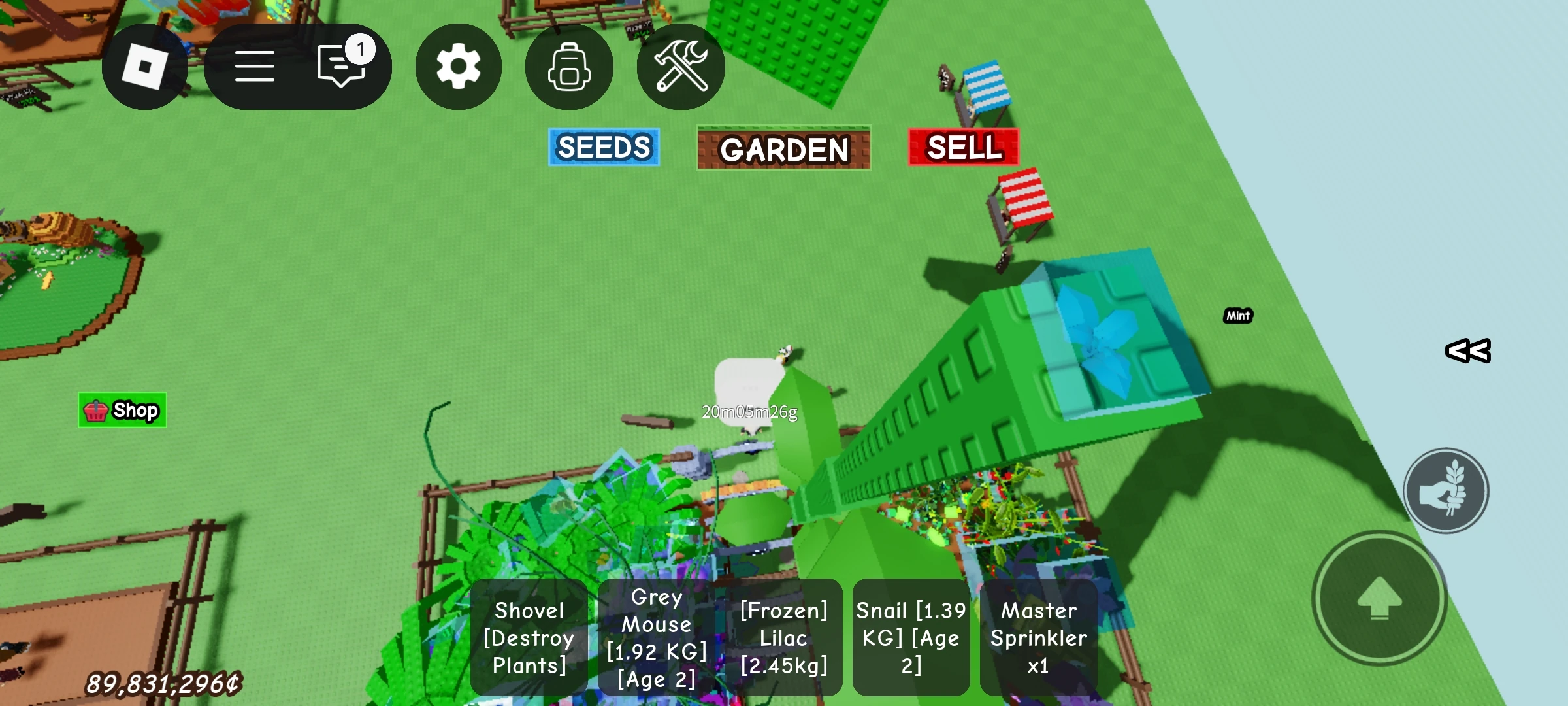 Comically Large Mint Plant, but Comically Small Mint Fruit | Fandom