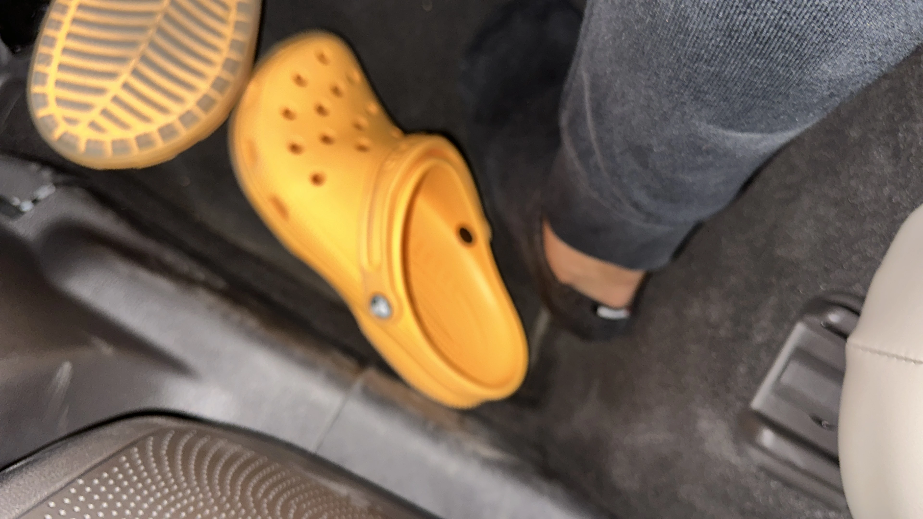 What’s this asthetic | Fandom