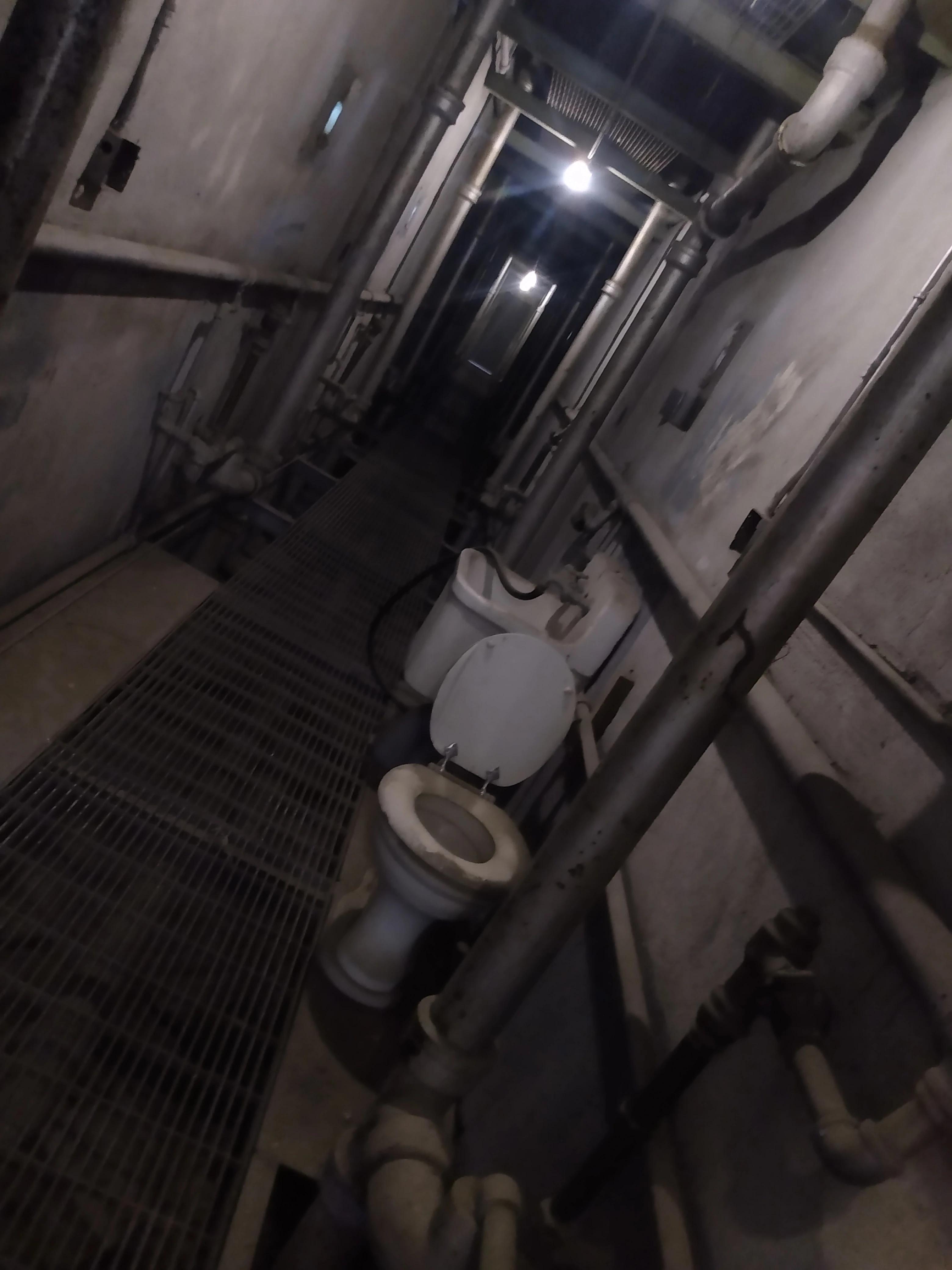 Pipe Dreams? | Fandom