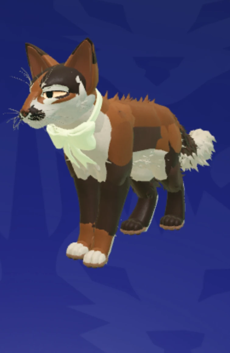 Give me tips | Fandom