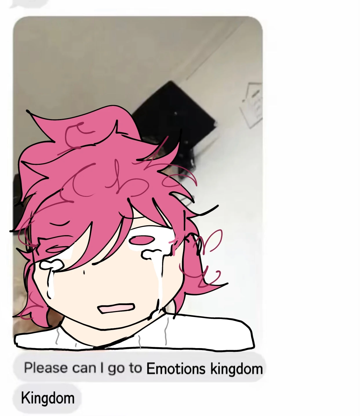 Let her go to the emotions kingdom😞😞 | Fandom