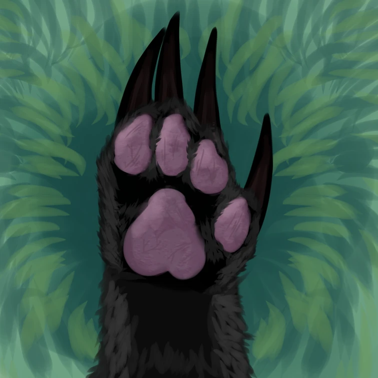 Paws | Fandom