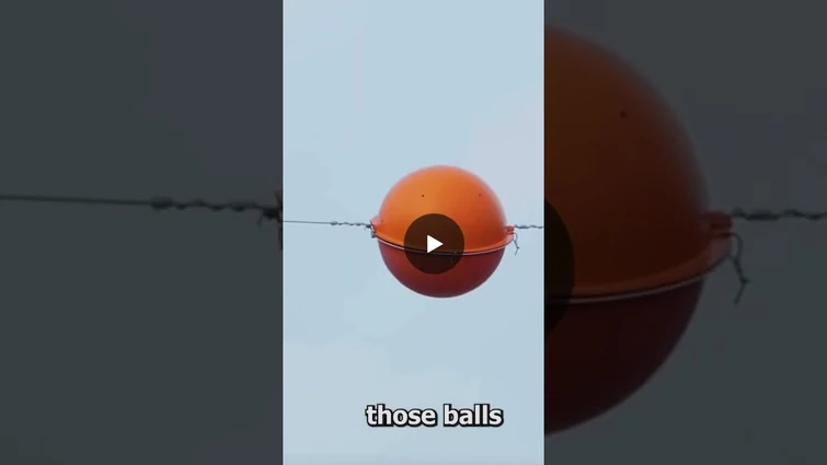 top 10 funniest Zack D Films Memes. | Fandom