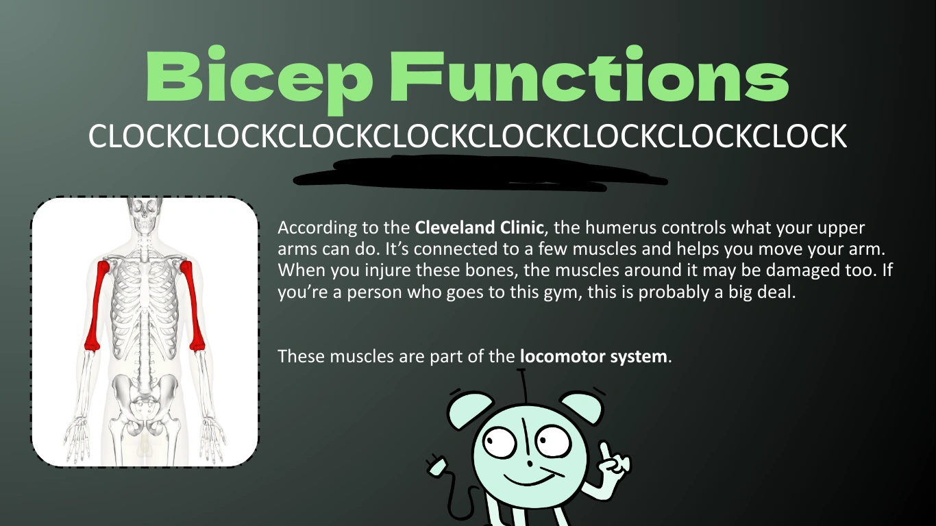 clock-themed slideshow for science class | Fandom