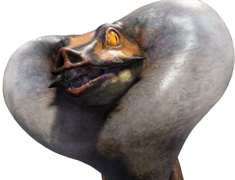 I killed a monster with a nitrotoad | Fandom