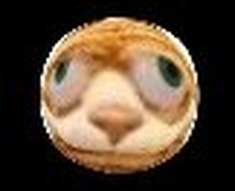 Most Liked Image becomes my PFP | Fandom