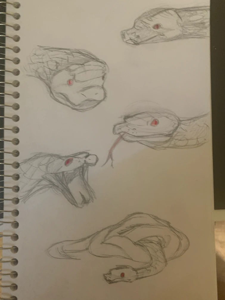 Drew kaburamaru | Fandom