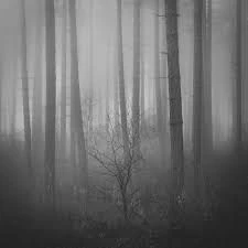 How delightful... | Fandom