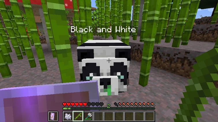 Discuss Everything About Minecraft Wiki | Fandom