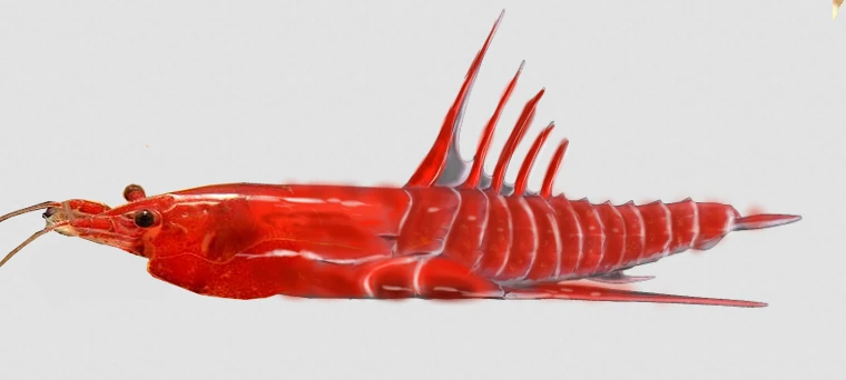 I created my first hibrid: The shrimpicerate | Fandom