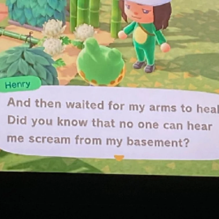 Discuss Everything About Animal Crossing Wiki | Fandom