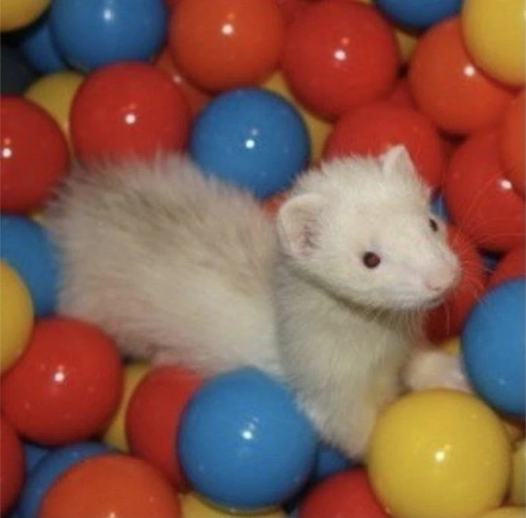 Very skibidi new oc + cosplay | Fandom