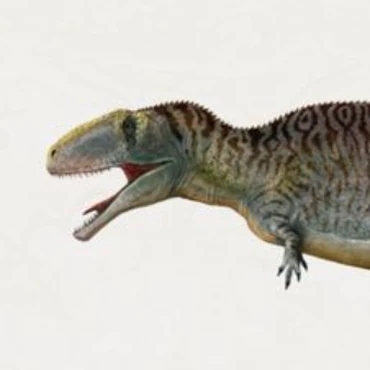 Discuss Everything About Dinopedia | Fandom