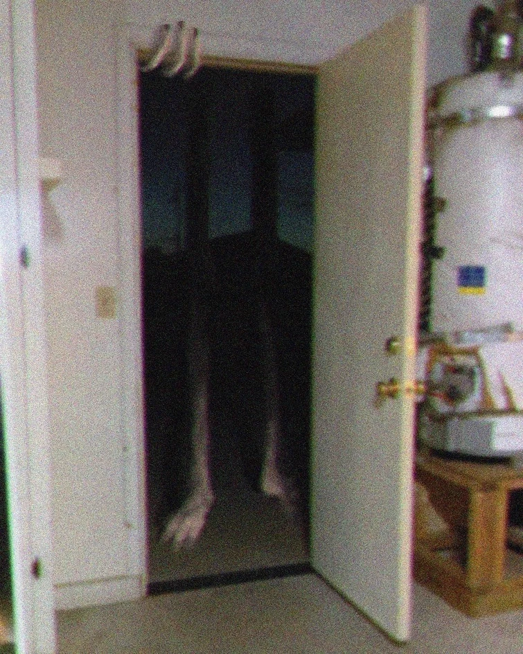 memes that will make siren head screech | Fandom