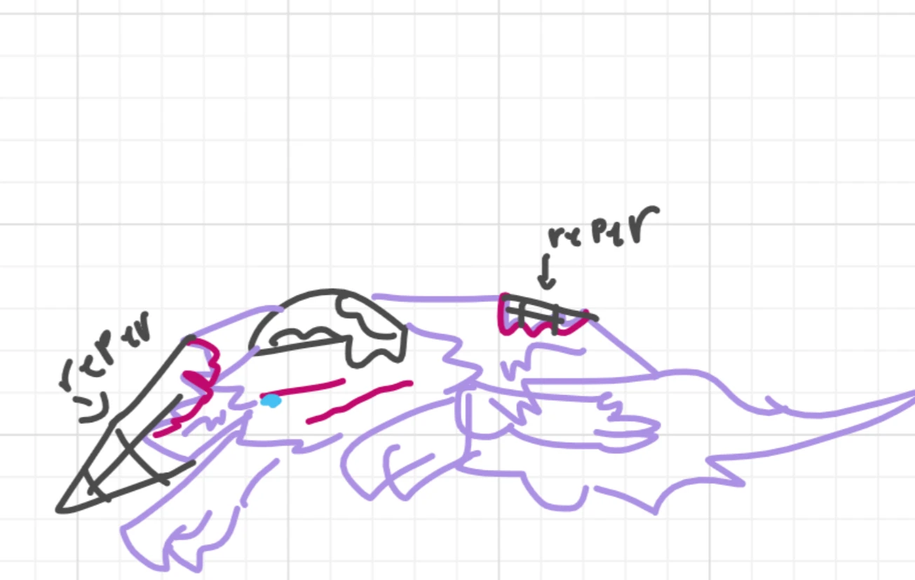 In the forest house with unknown objects | Fandom