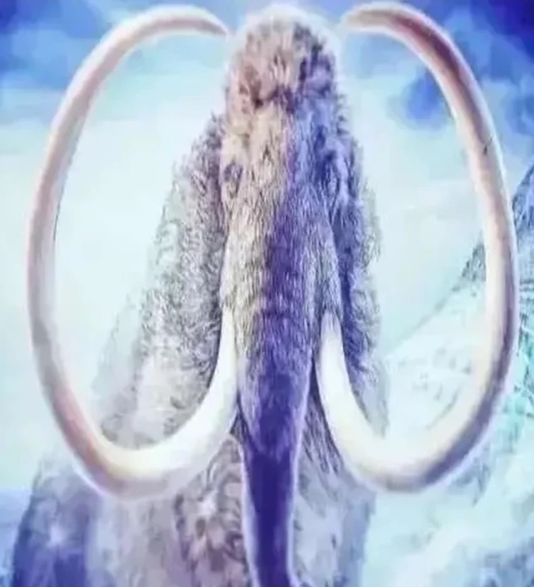 hapy birday | Fandom