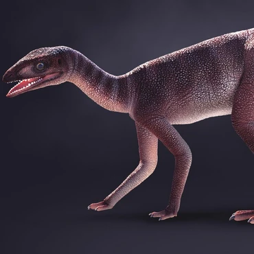 Discuss Everything About Dinopedia | Fandom