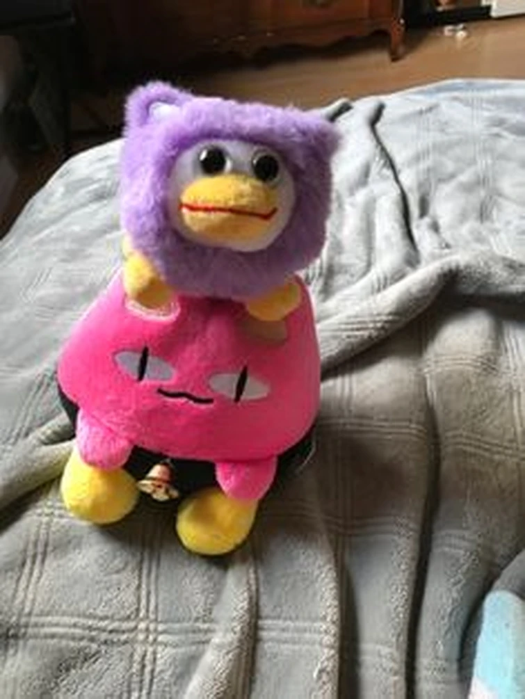 solution on how to tell if it’s gif or jif | Fandom