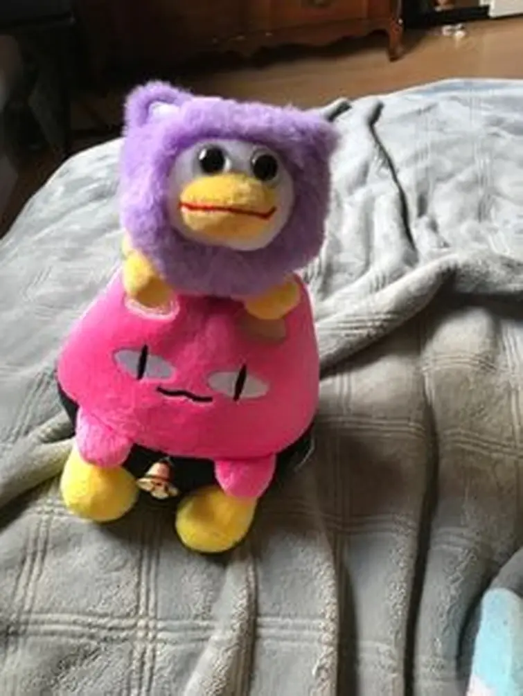 solution on how to tell if it’s gif or jif | Fandom