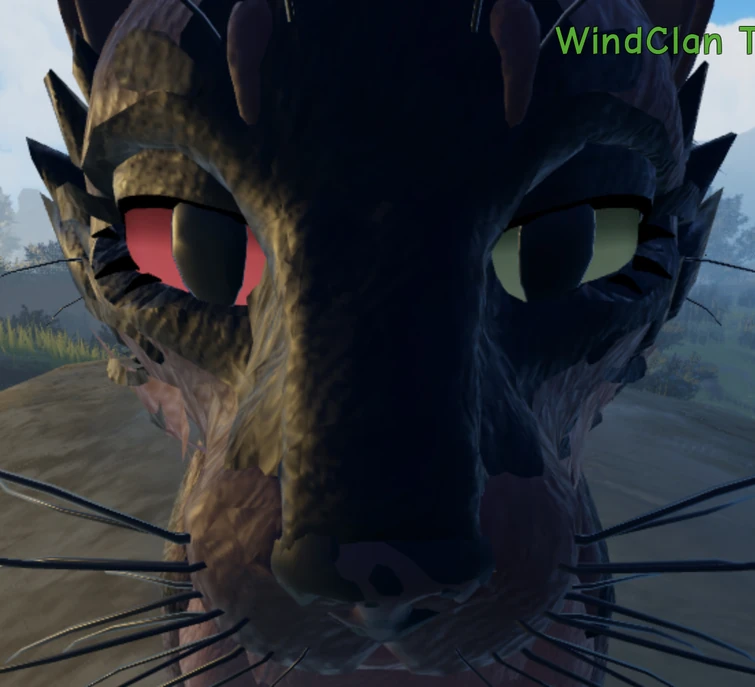 Random Wcue pics | Fandom