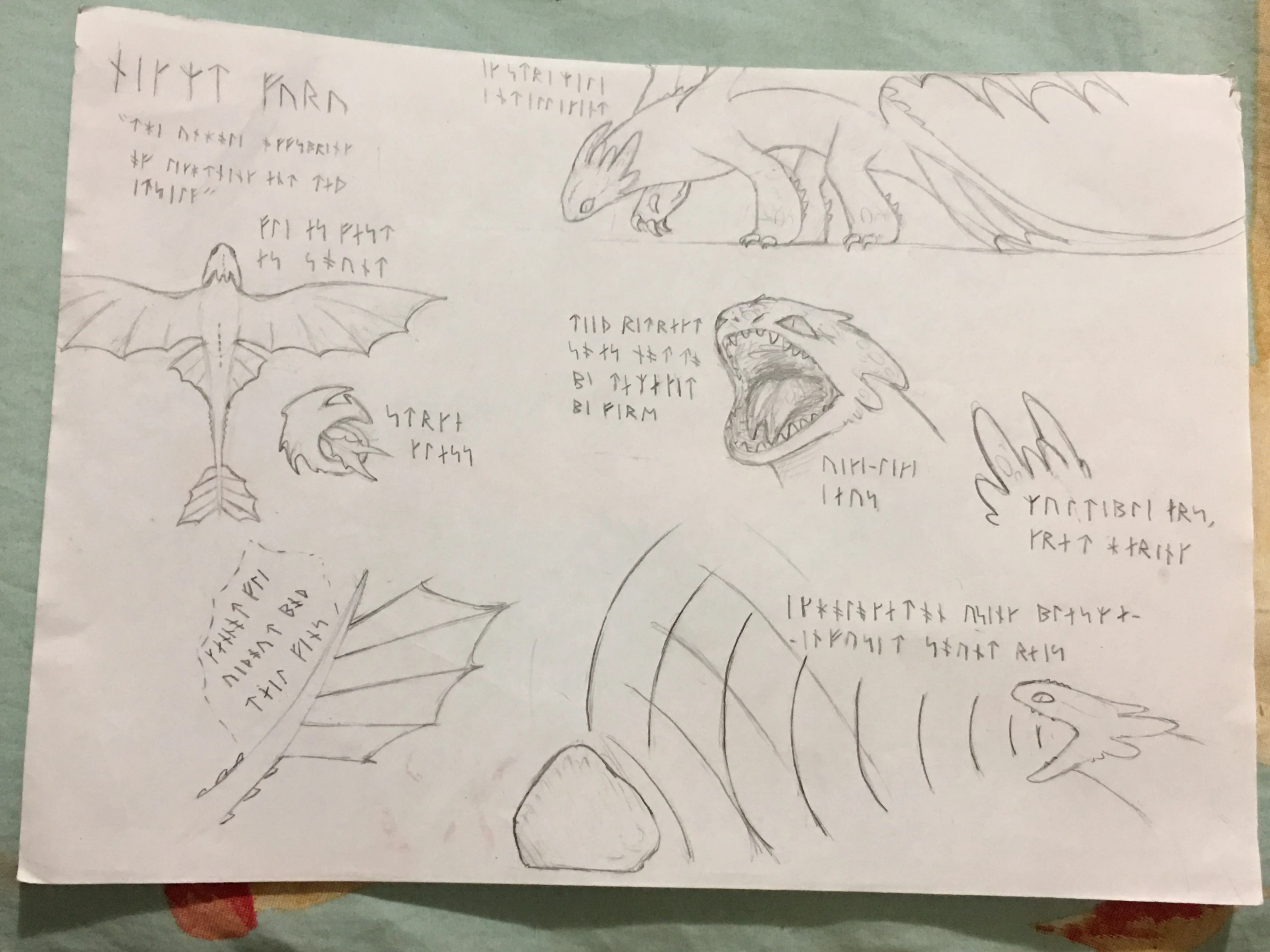 Homemade Dragon Manual Part One: Night Fury | Fandom