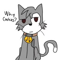 Best way to describe how I draw characters/ocs and my self insert | Fandom