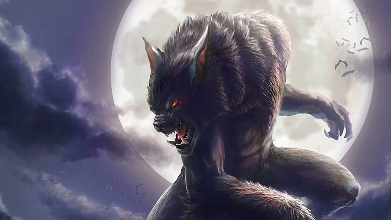 Which body type of werewolf do you prefer | Fandom