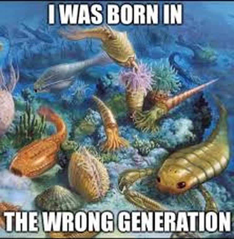 How much is Ignicaris worth rn? | Fandom