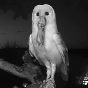 He thinks everything is a damn game | Fandom