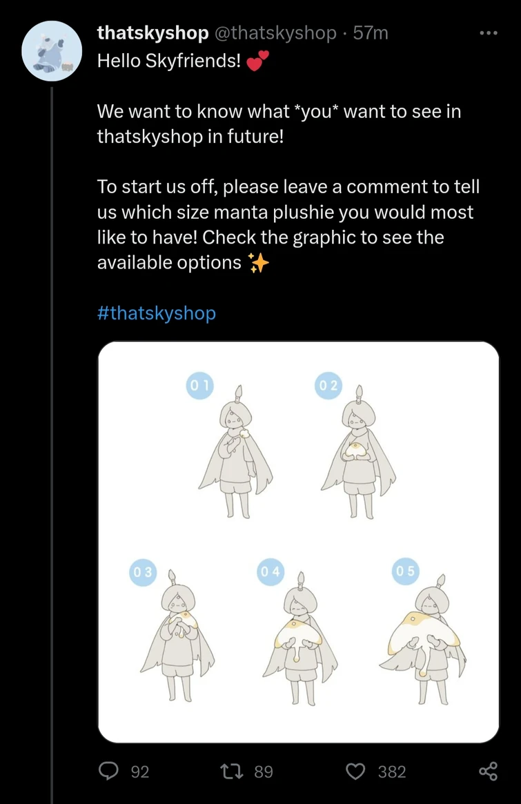 Future Sky merchandise spoilers! BEWARE | Fandom