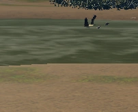 PE Cursed Images #2 | Fandom