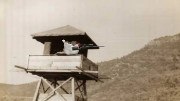 BATTLE OF THE CHICKENS | Fandom