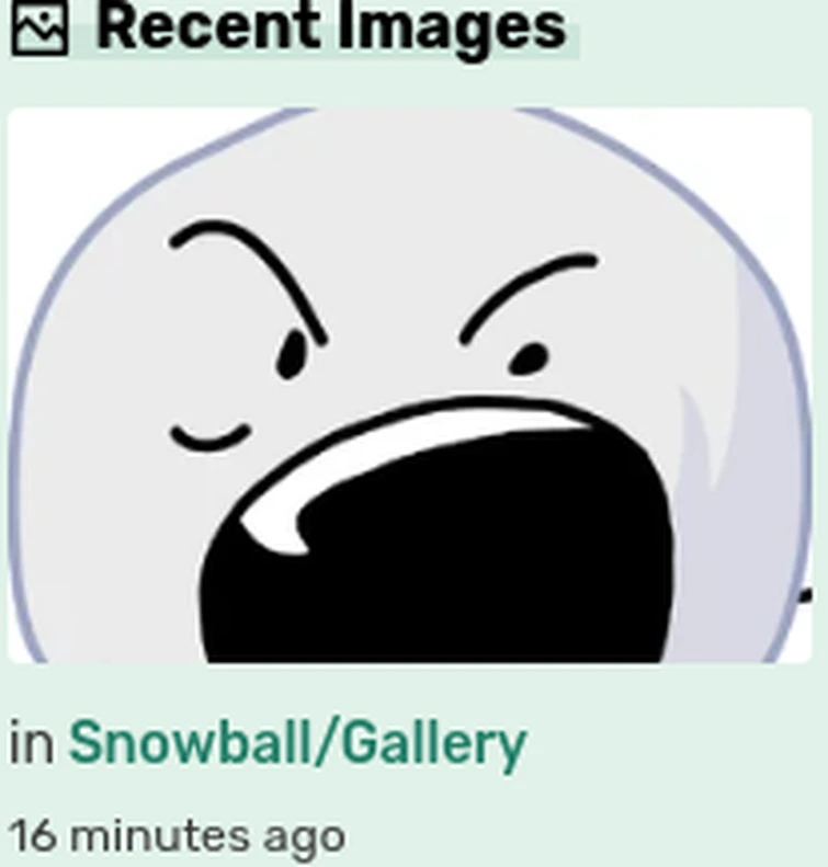 BFDI wikians: "I respect all opinions, people are allowed to hate any ...