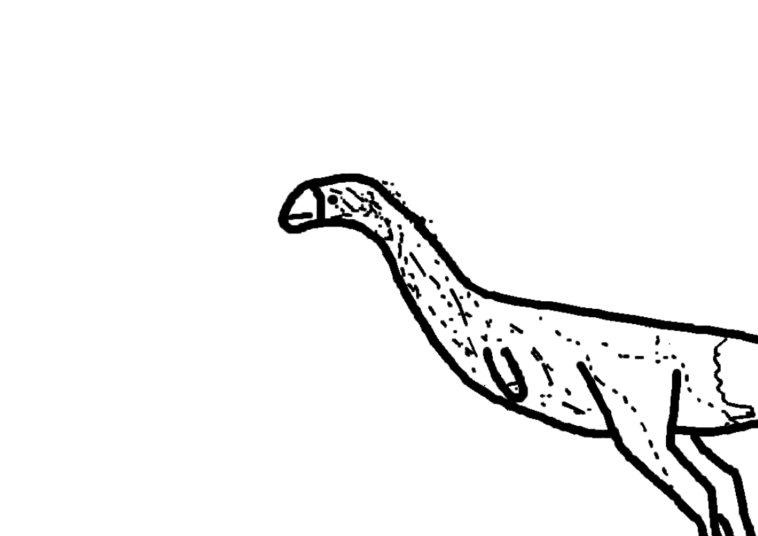 Noasauridae | Fandom