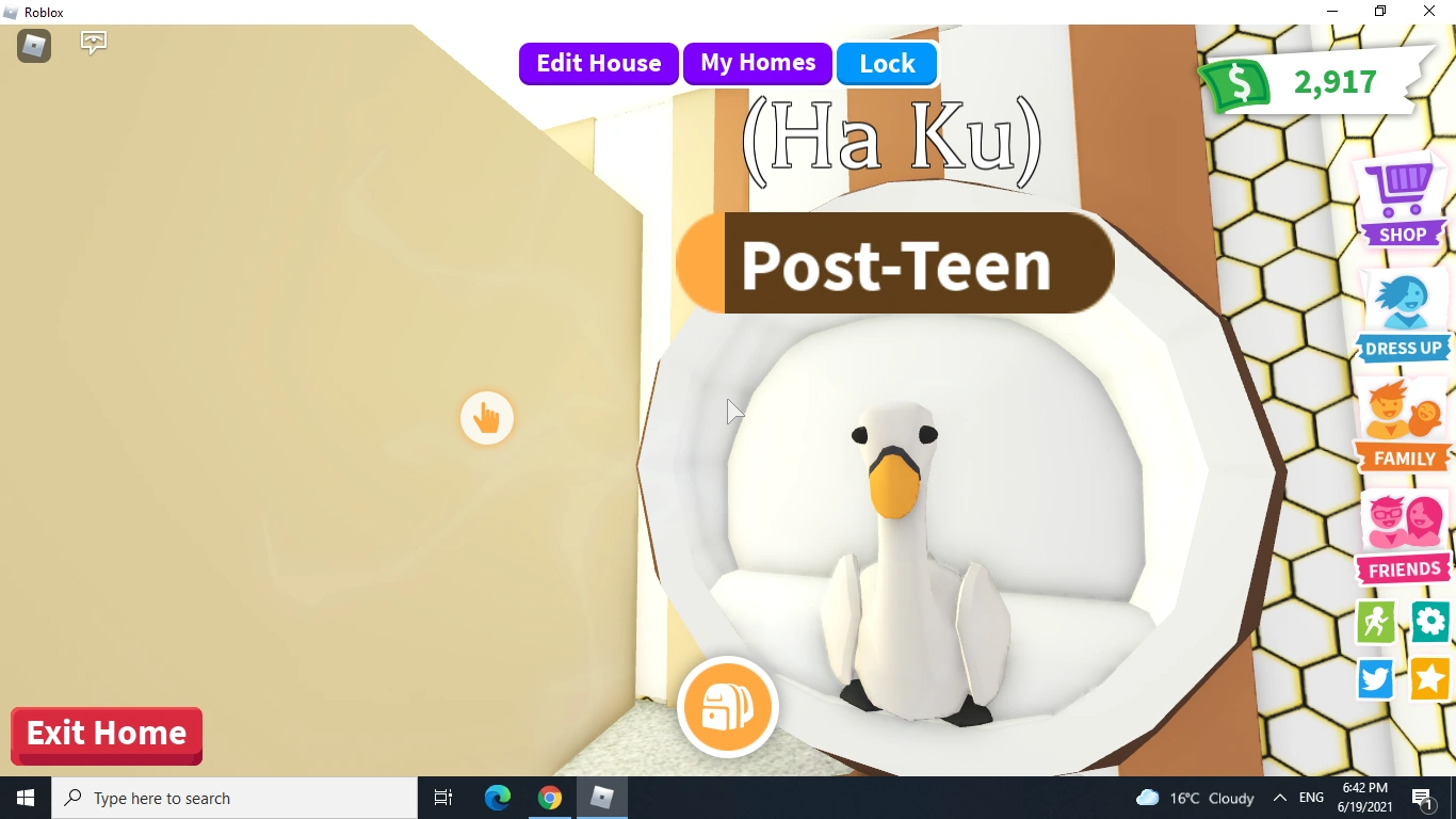 CHONKIES PET INTERVIEW EP 6 /w Haku, The Hated Swan | Fandom