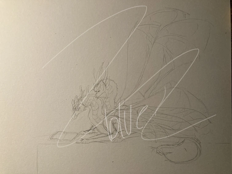 🦋 🐝 Blicket WIP! | Fandom