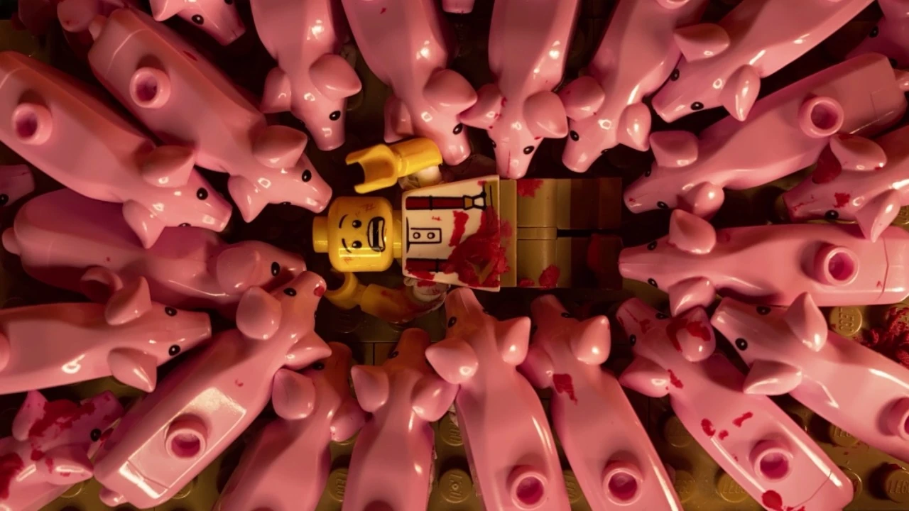 I found a stop-motion video about pigs (THIS VIDEO HAS GORE. VIEWER ...