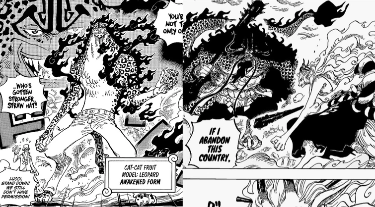 One Piece Ch.1069 review/discussion! | Fandom