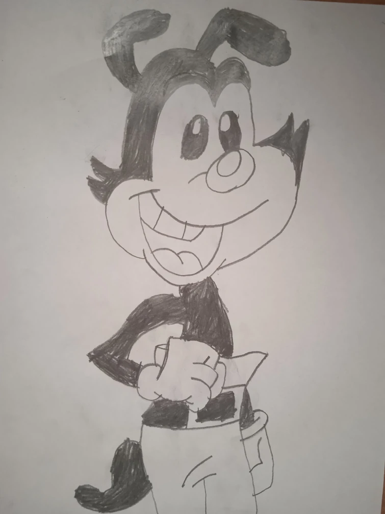 My drawing of Yakko | Fandom