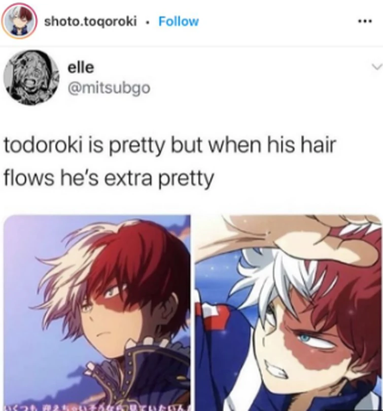 Todoroki memes | Fandom