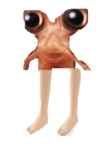 most voted option or most upvoted image in the replies is my new pfp ...