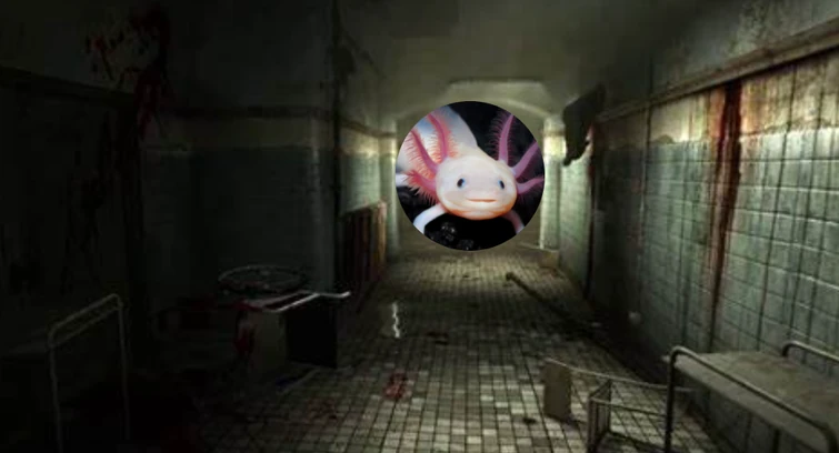 My basement | Fandom