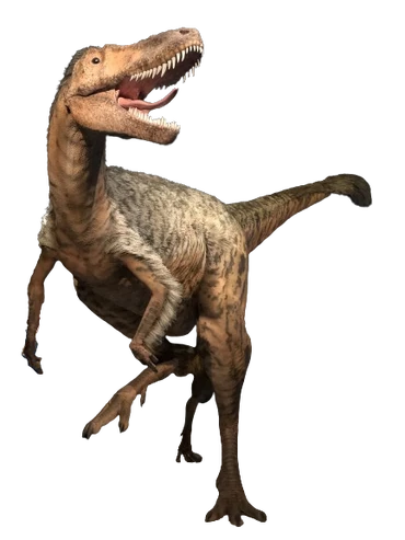 Discuss Everything About Dinopedia | Fandom