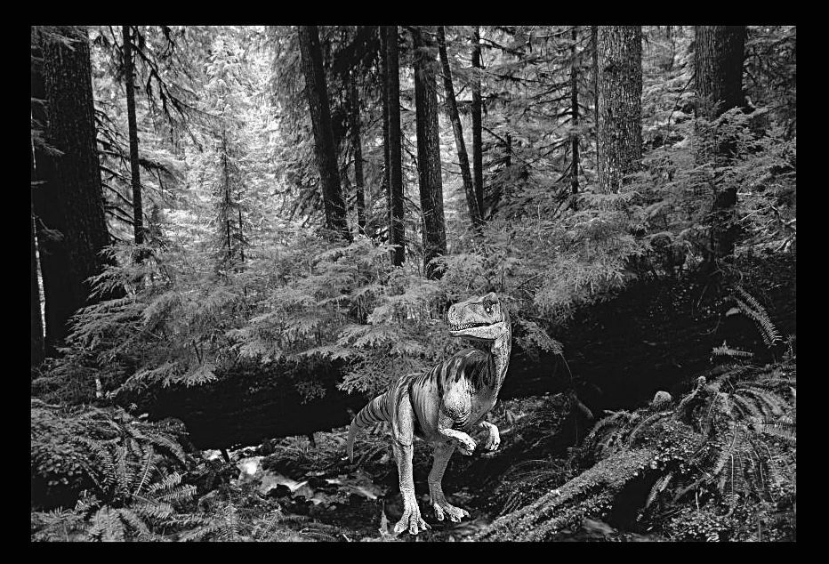 DFW Report ‘Hikers’ | Fandom